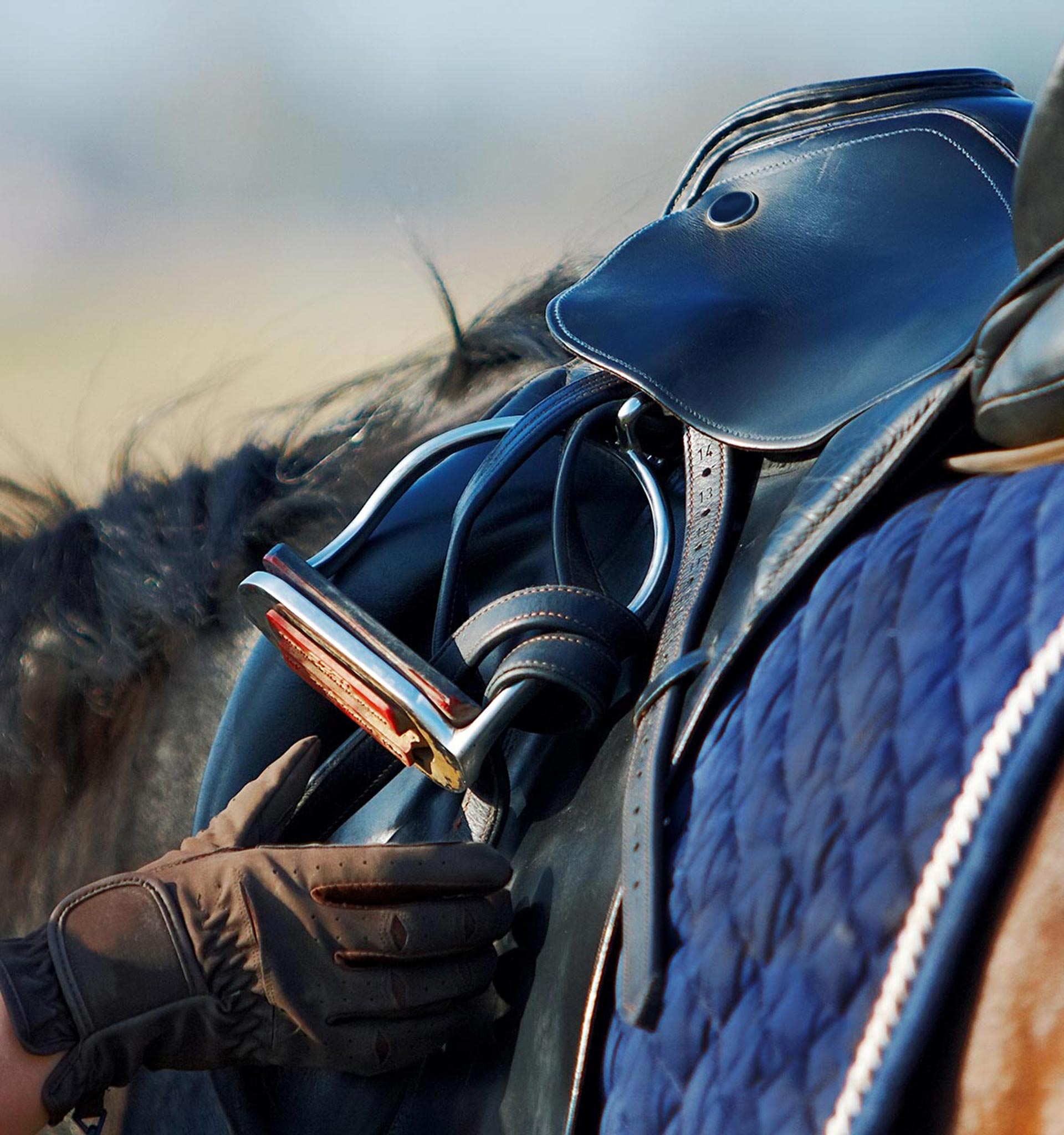 What are the trending championship challenges and tricks? – Spectrum