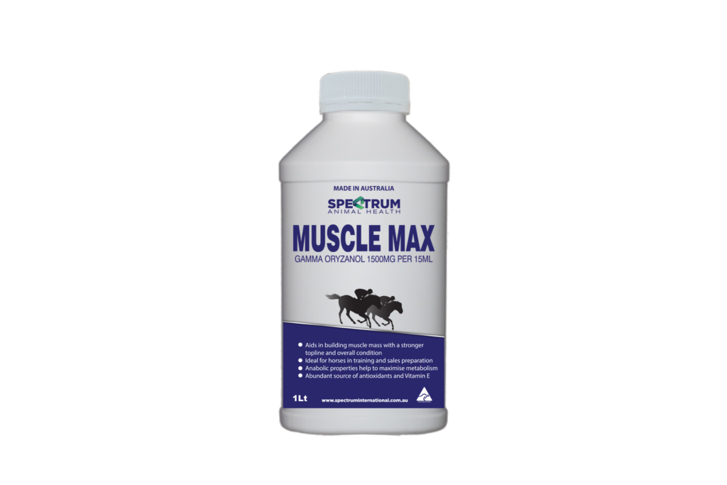 Muscle Max 1L – Spectrum